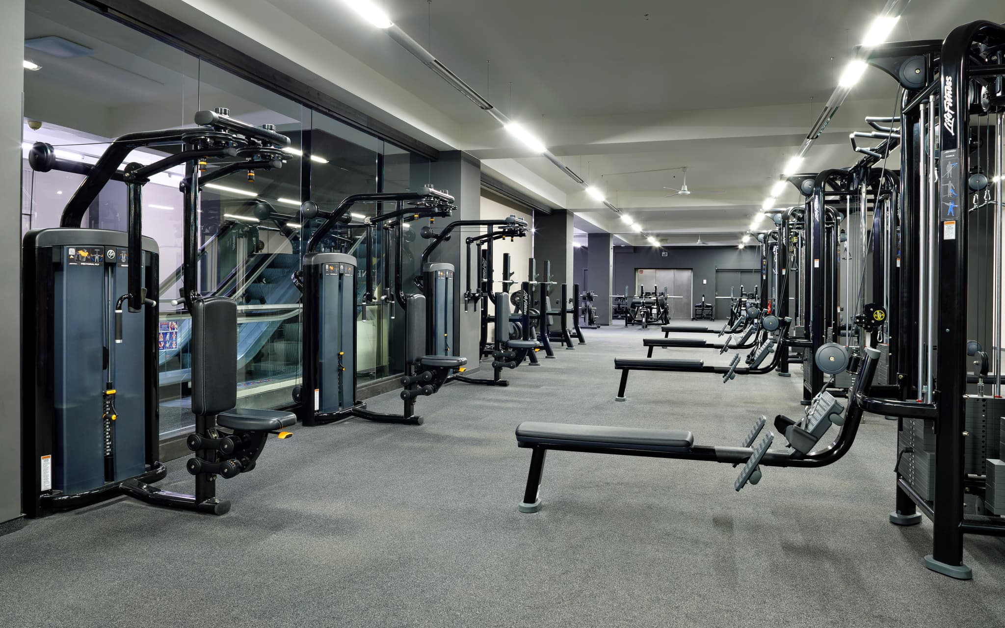 Max Fitness Bílá Labuť | Max Fitness