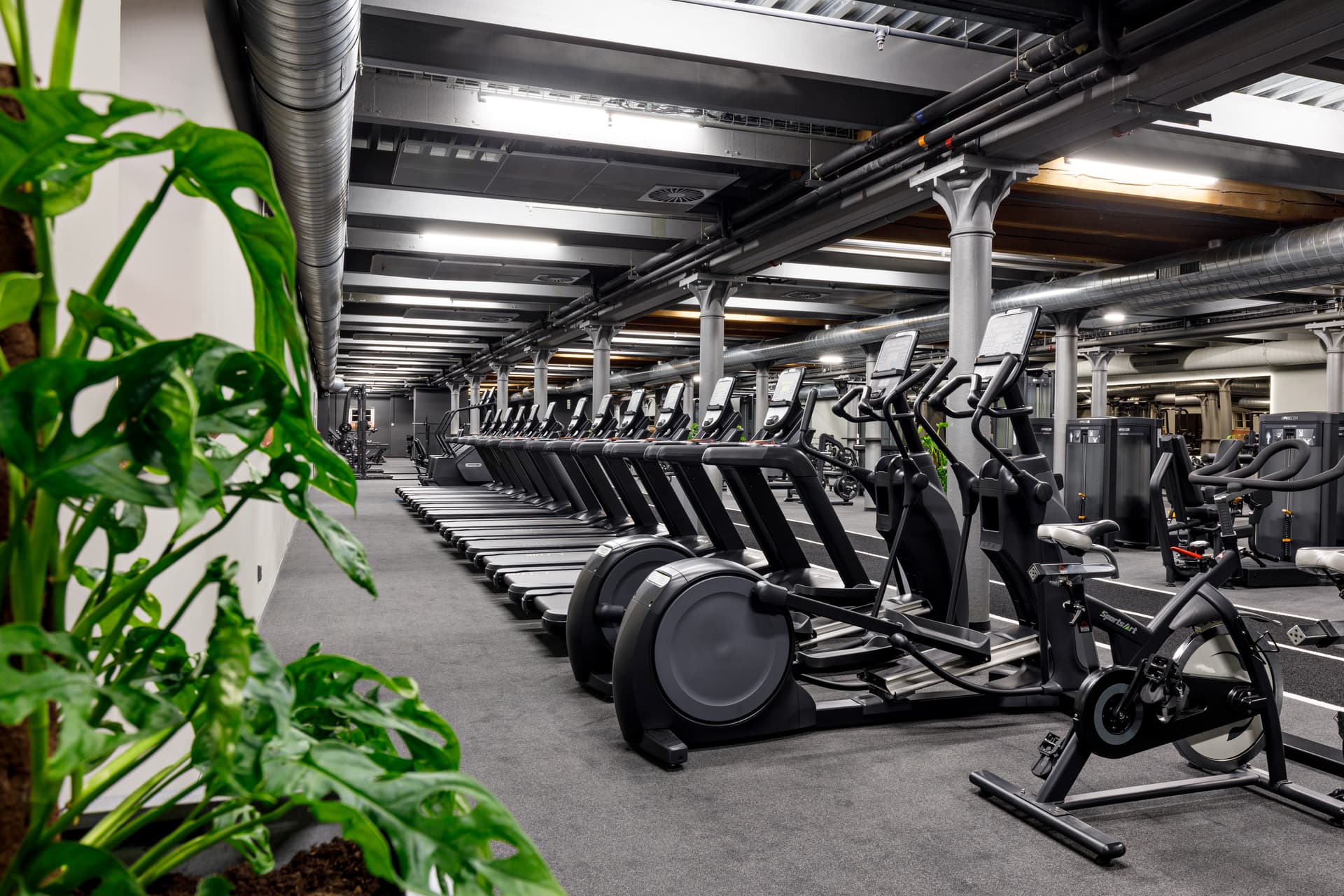 Max Fitness Holešovice | Max Fitness