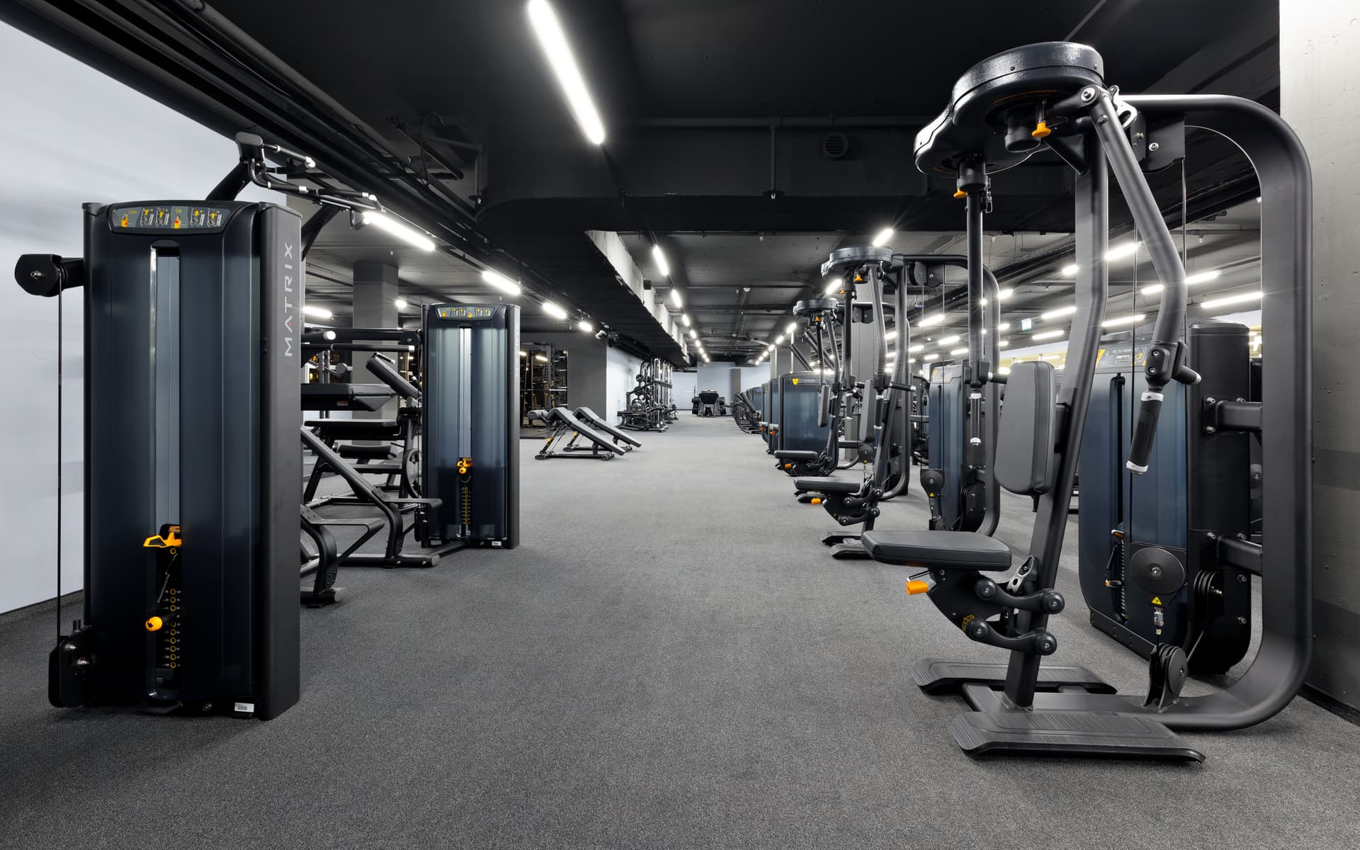 Max Fitness Flora | Max Fitness